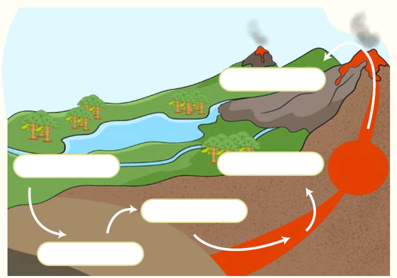 Blink Activity | BlinkLearning