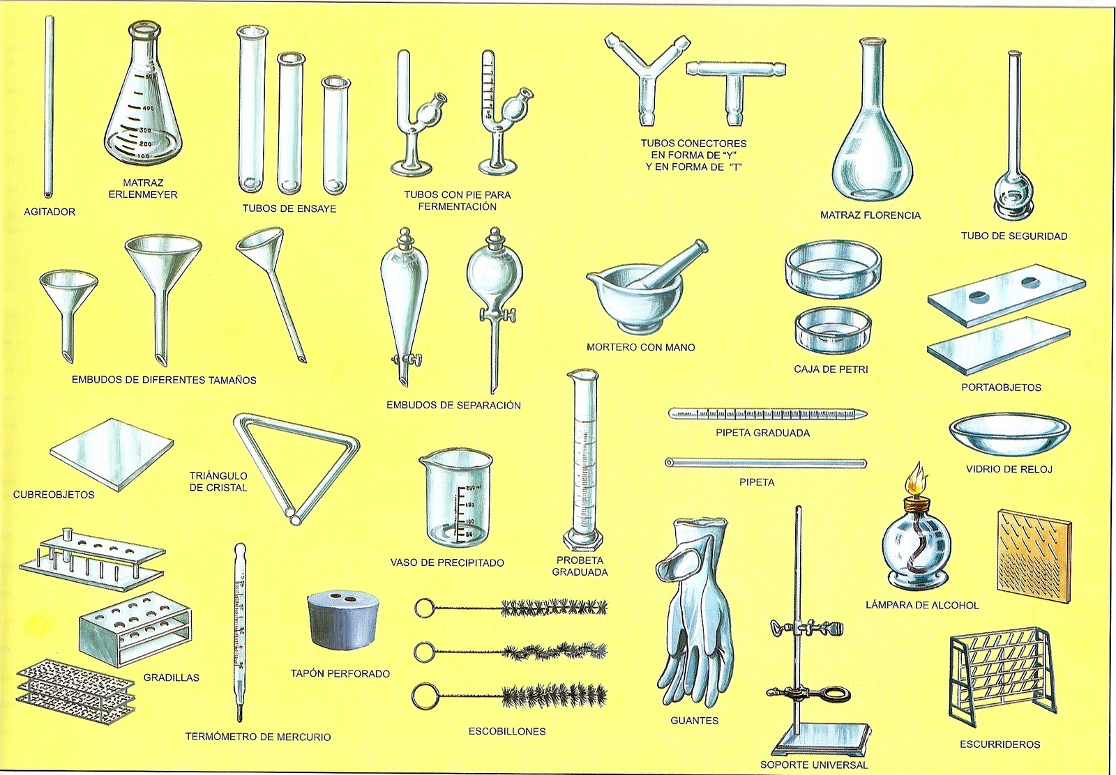 Blink Activity | BlinkLearning