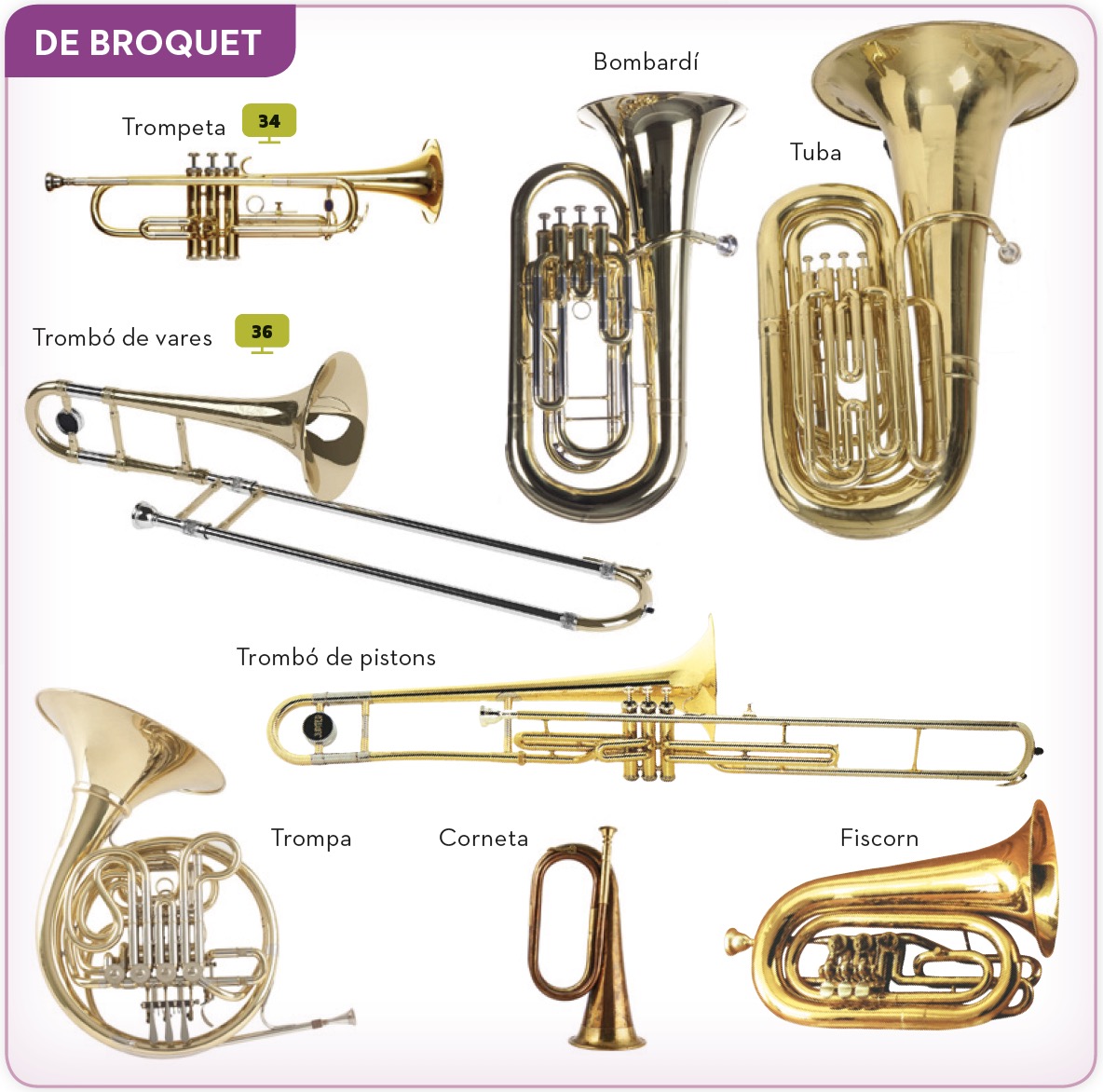 Blink Activity | BlinkLearning