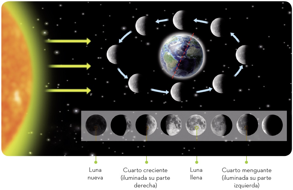 Blink Activity | BlinkLearning