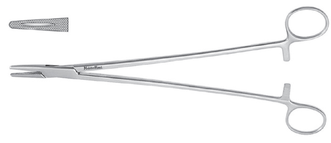 Blink Activity | BlinkLearning