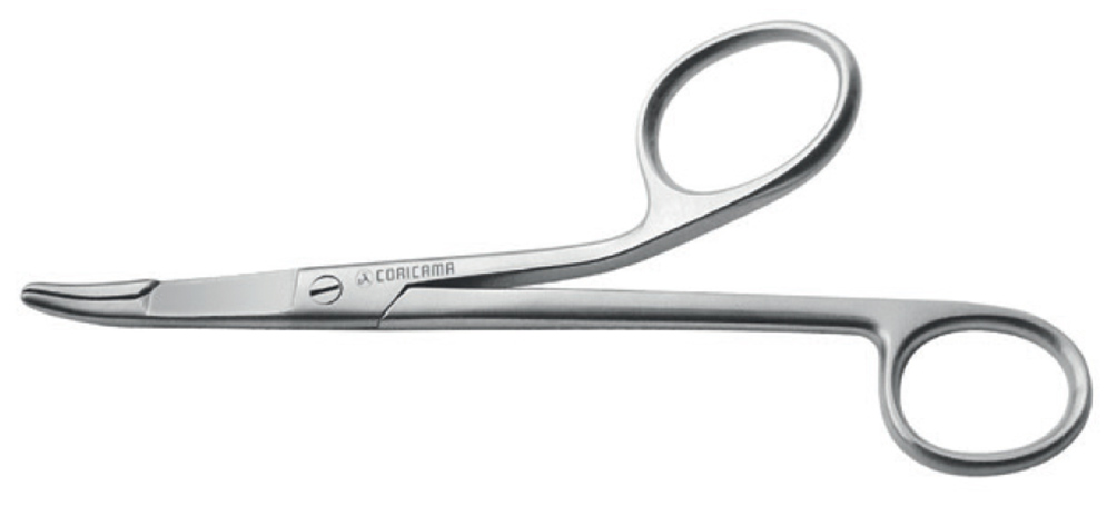 Blink Activity | BlinkLearning