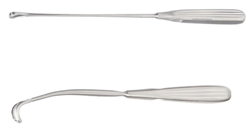 Blink Activity | BlinkLearning