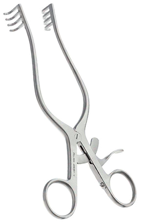 Blink Activity | BlinkLearning