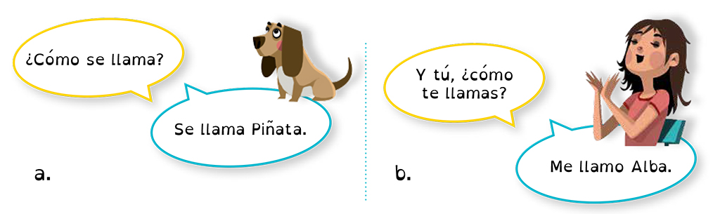 Blink Activity | BlinkLearning