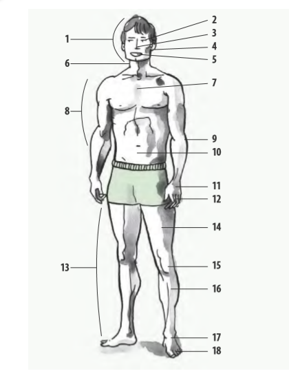 Blink Activity | BlinkLearning