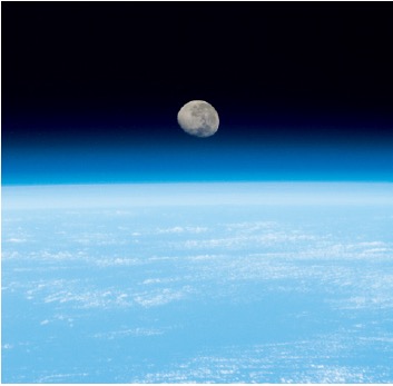 Blink Activity | BlinkLearning