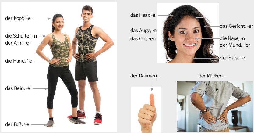 Blink Activity | BlinkLearning