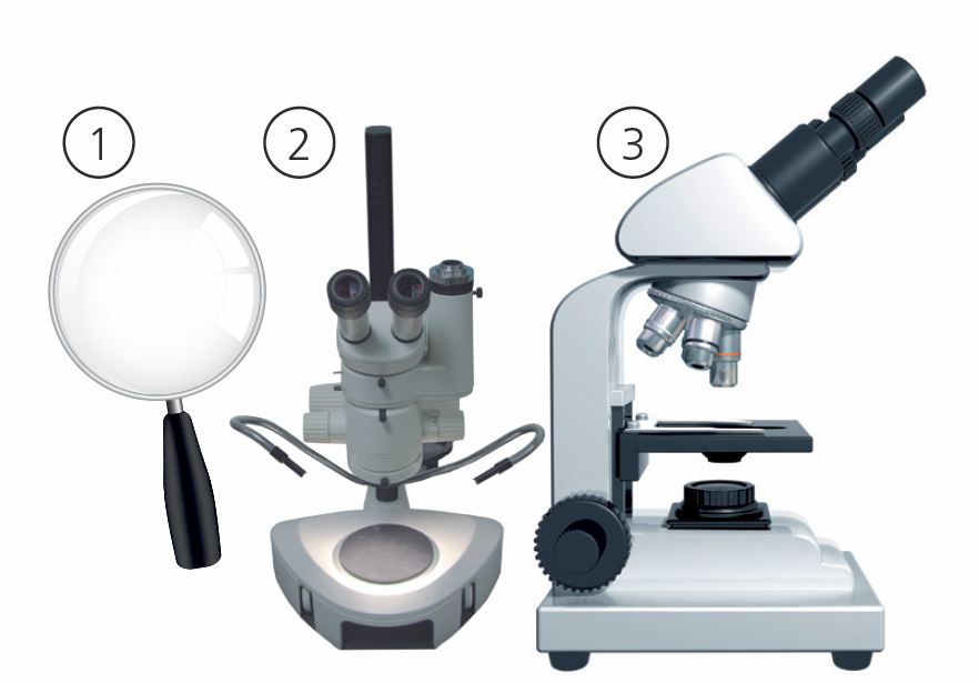 Blink Activity | BlinkLearning