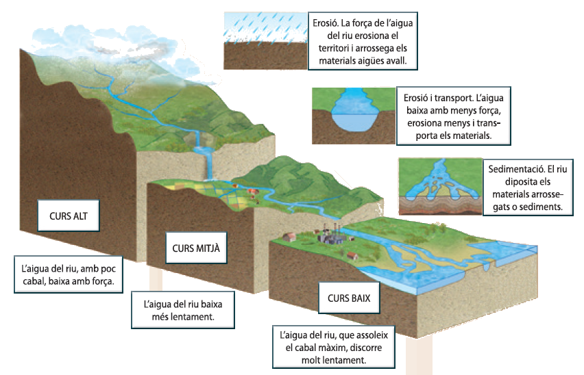 Blink Activity | BlinkLearning