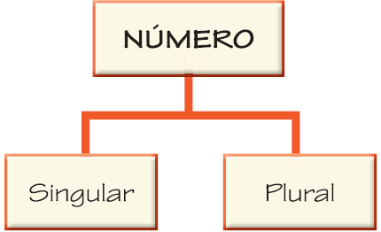 Blink Activity | BlinkLearning