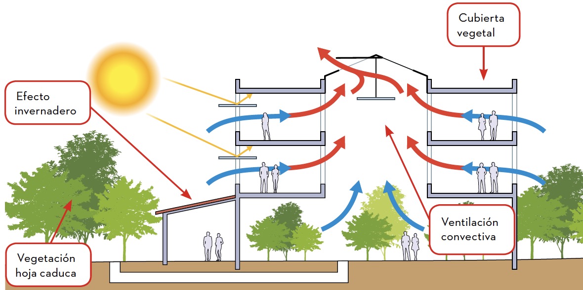 Blink Activity | BlinkLearning