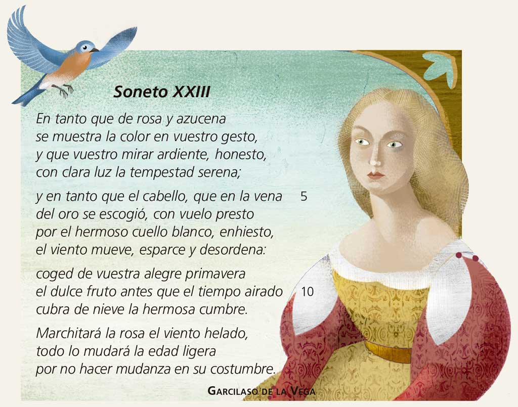 Blink Activity | BlinkLearning