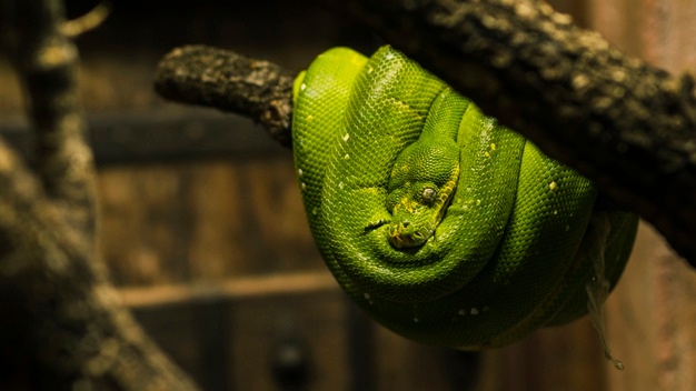 Blink Activity | BlinkLearning