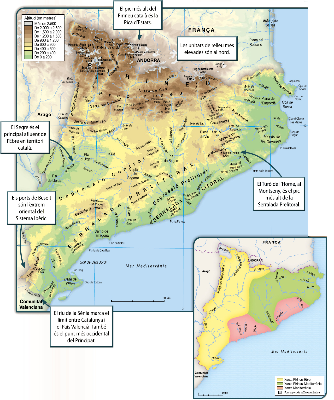 Blink Activity | BlinkLearning