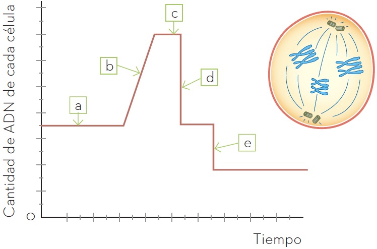 Blink Activity | BlinkLearning