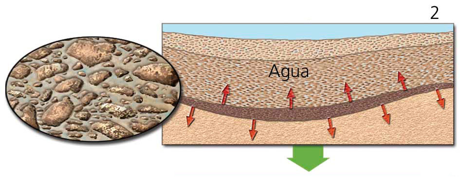 Blink Activity | BlinkLearning