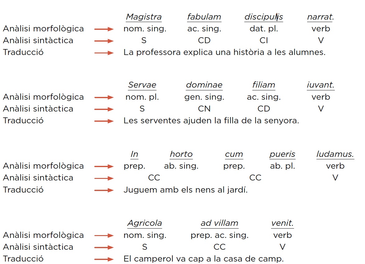 Blink Activity | BlinkLearning