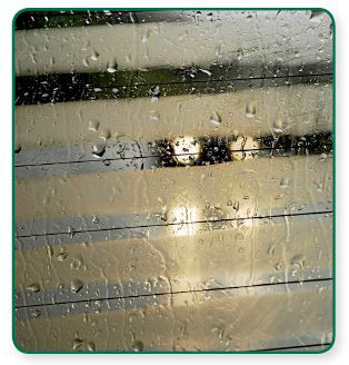 Blink Activity | BlinkLearning