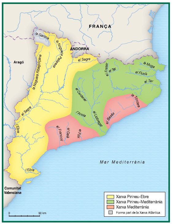 Blink Activity | BlinkLearning