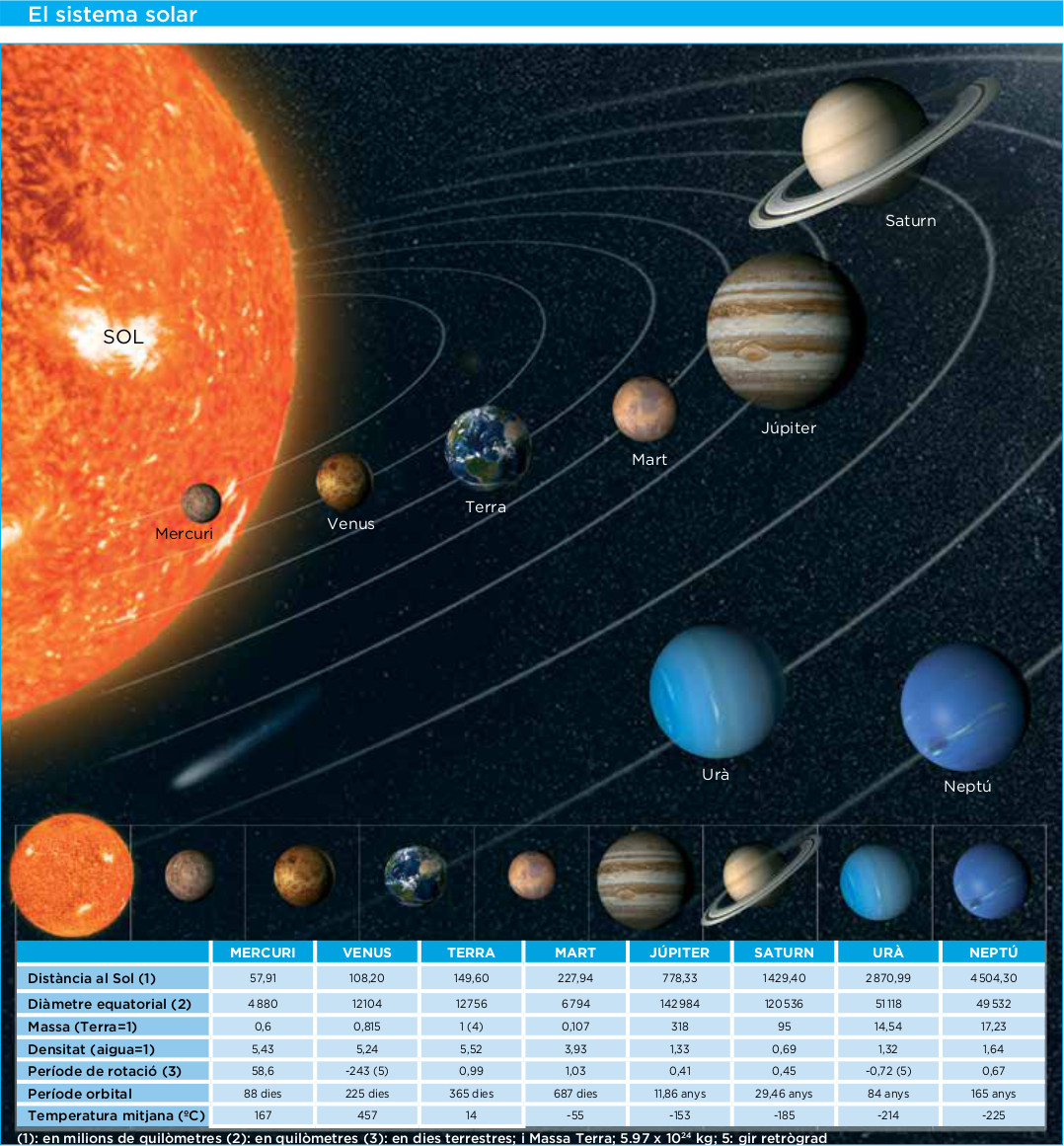 Blink Activity | BlinkLearning