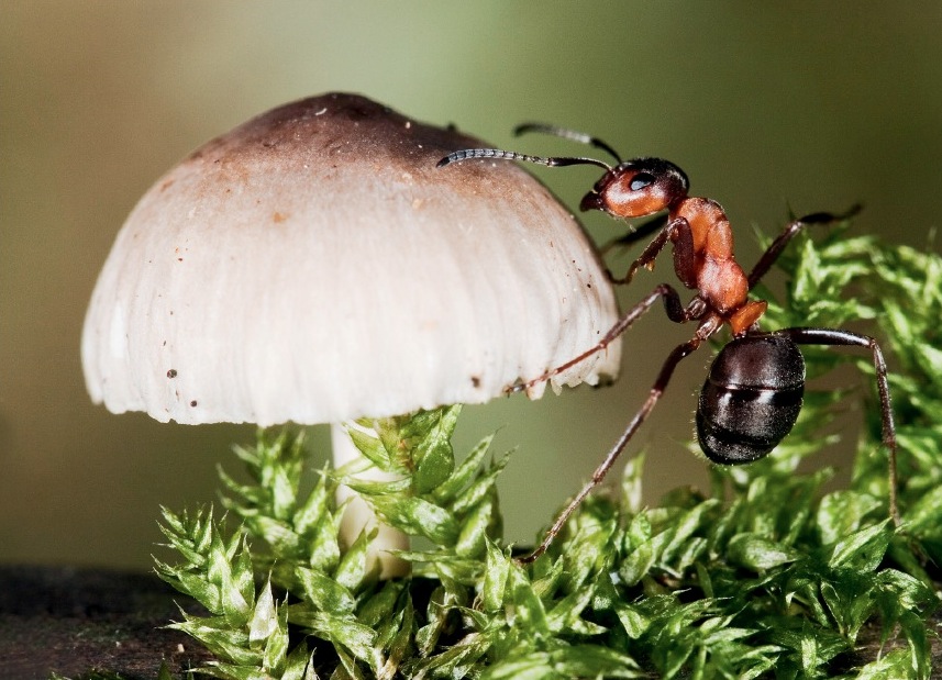 Blink Activity | BlinkLearning