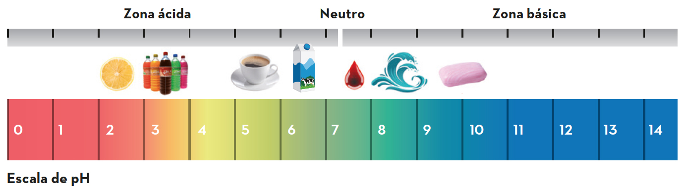 Blink Activity | BlinkLearning