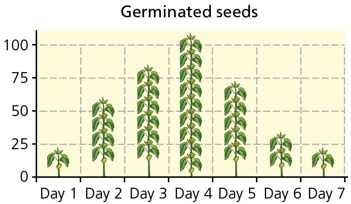 Blink Activity | BlinkLearning