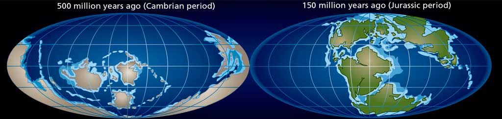 Blink Activity | BlinkLearning