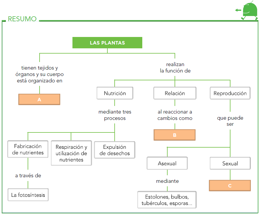 Blink Activity | BlinkLearning