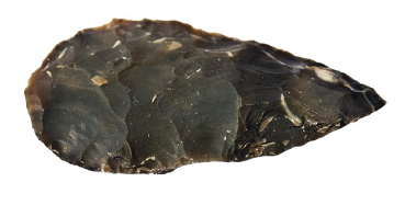 Blink Activity | BlinkLearning