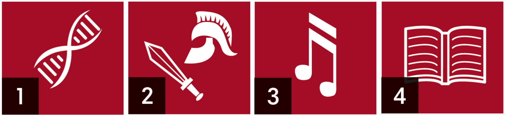 Blink Activity | BlinkLearning