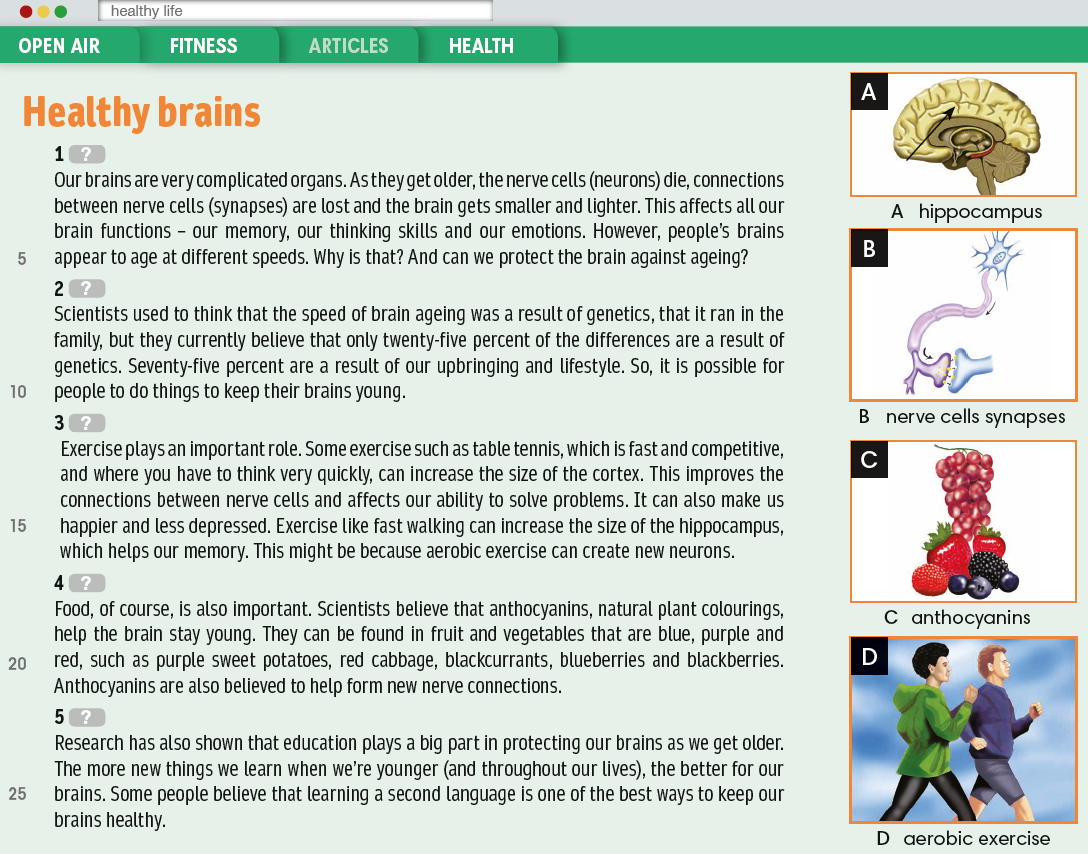 Blink Activity | BlinkLearning