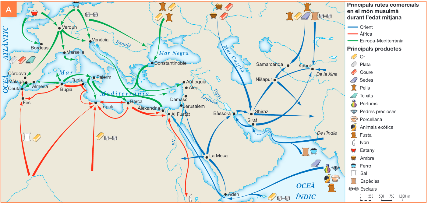 Blink Activity | BlinkLearning