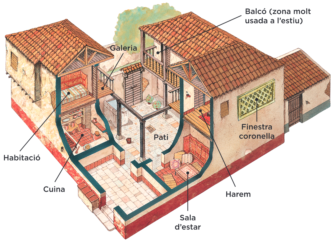 Blink Activity | BlinkLearning