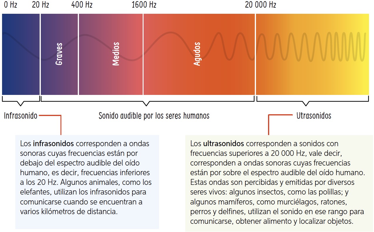 Blink Activity | BlinkLearning