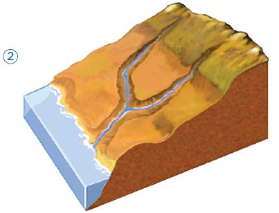 Blink Activity | BlinkLearning