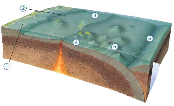 Blink Activity | BlinkLearning