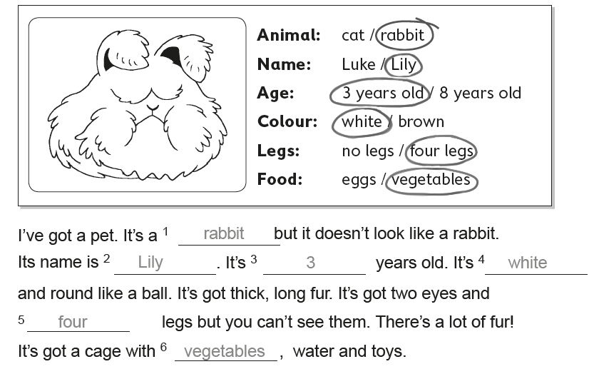 Blink Activity | BlinkLearning