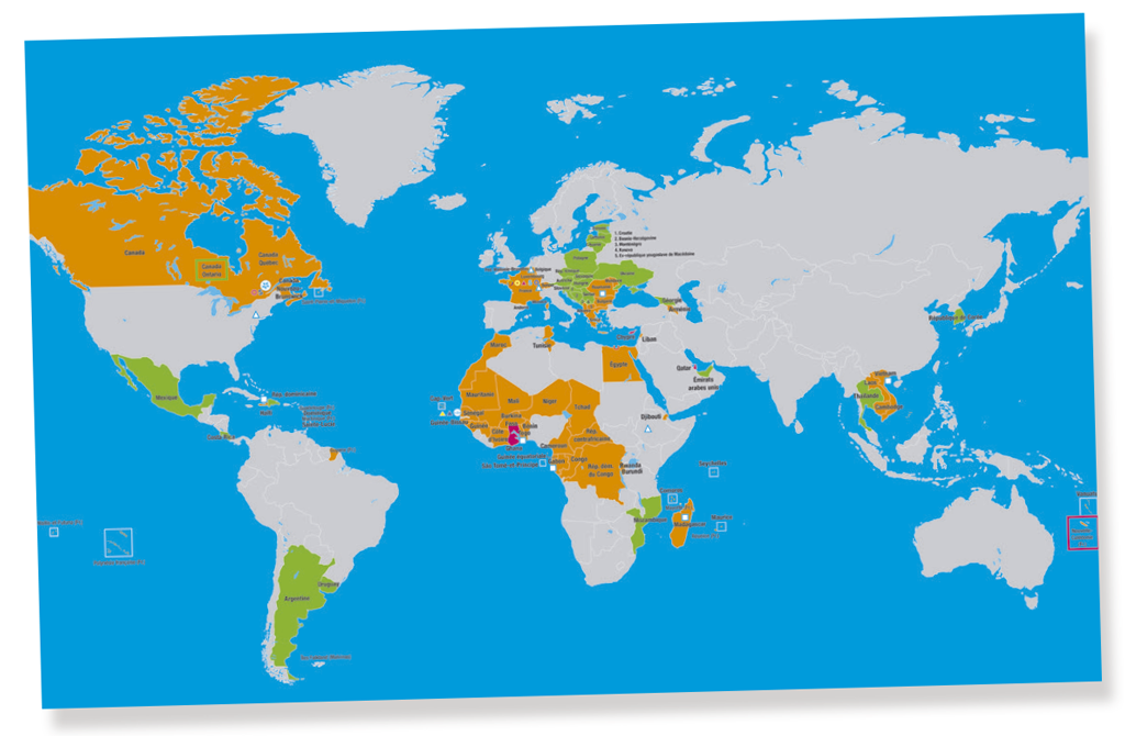 Blink Activity | BlinkLearning