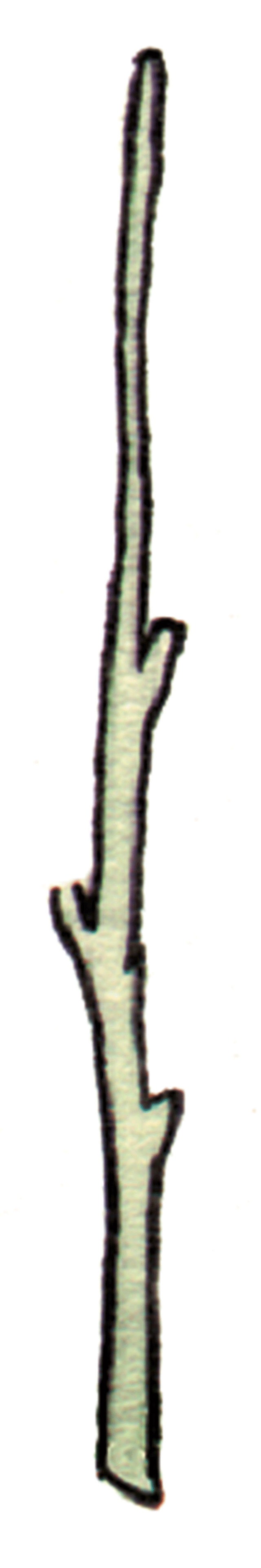 Blink Activity | BlinkLearning