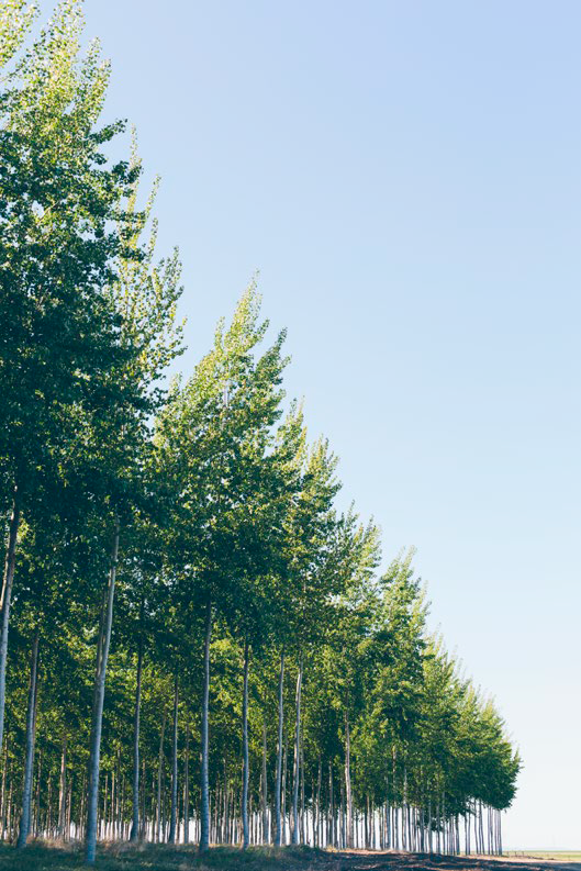 Blink Activity | BlinkLearning