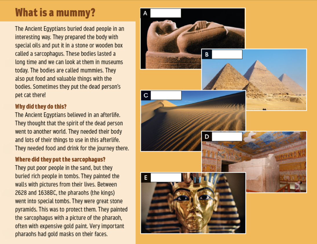 Blink Activity | BlinkLearning