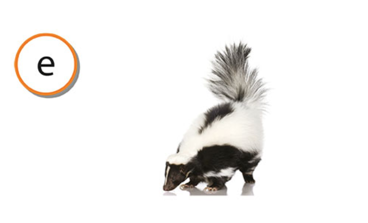 Blink Activity | BlinkLearning