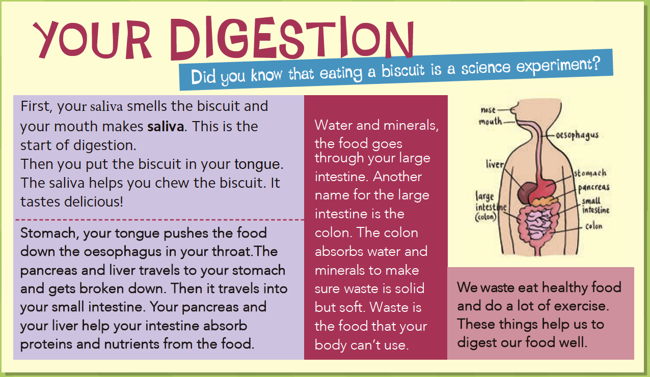 Blink Activity | BlinkLearning
