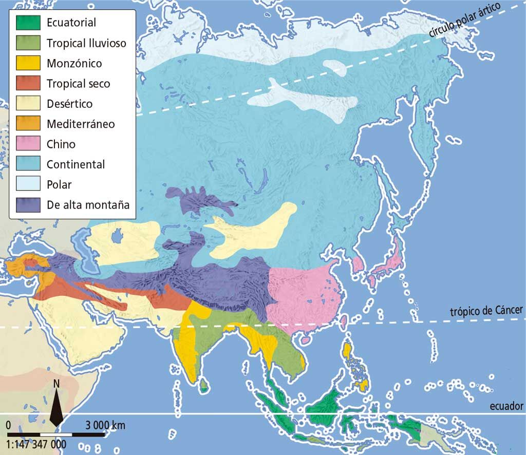 Las Regiones Naturales De Asia - enfoya