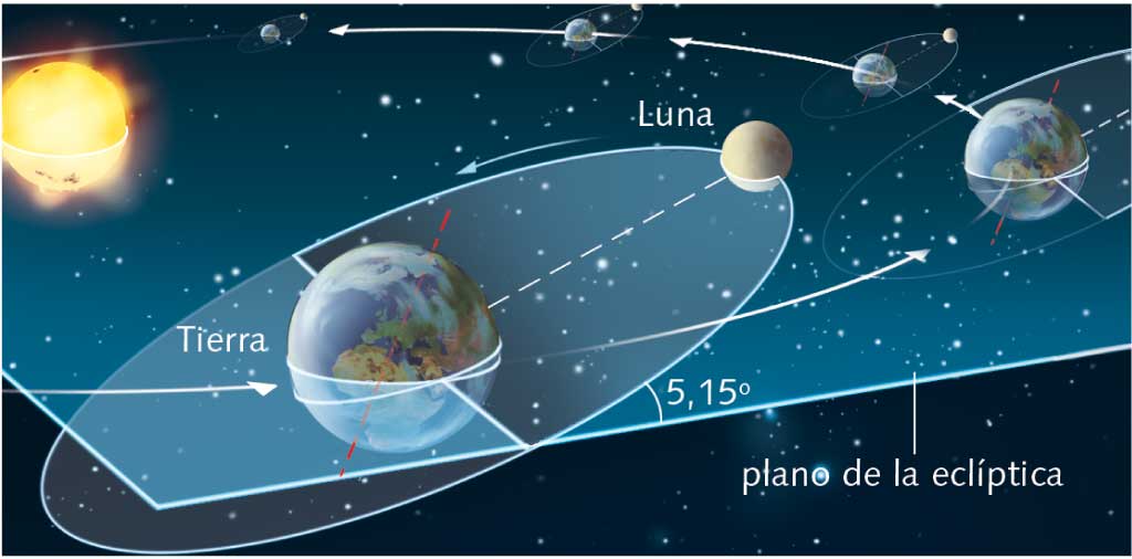 Blink Activity | BlinkLearning