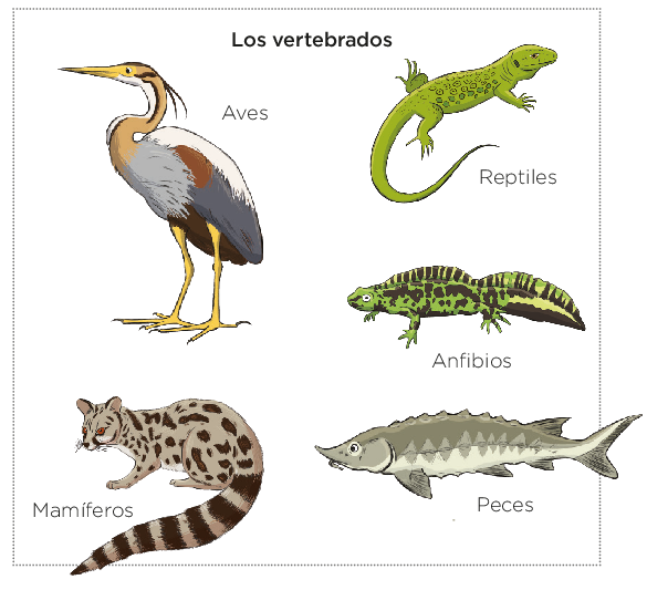 Blink Activity | BlinkLearning