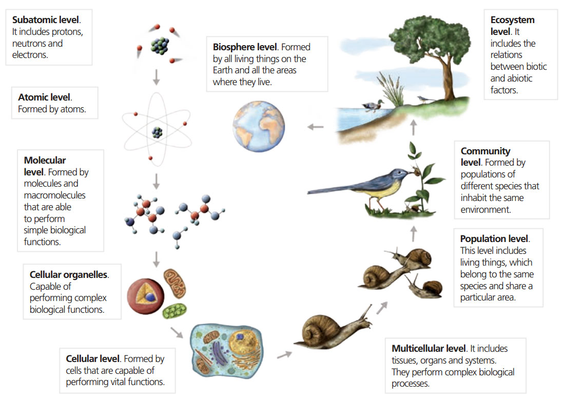 Blink Activity | BlinkLearning