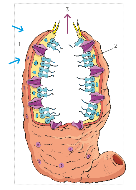 Blink Activity | BlinkLearning